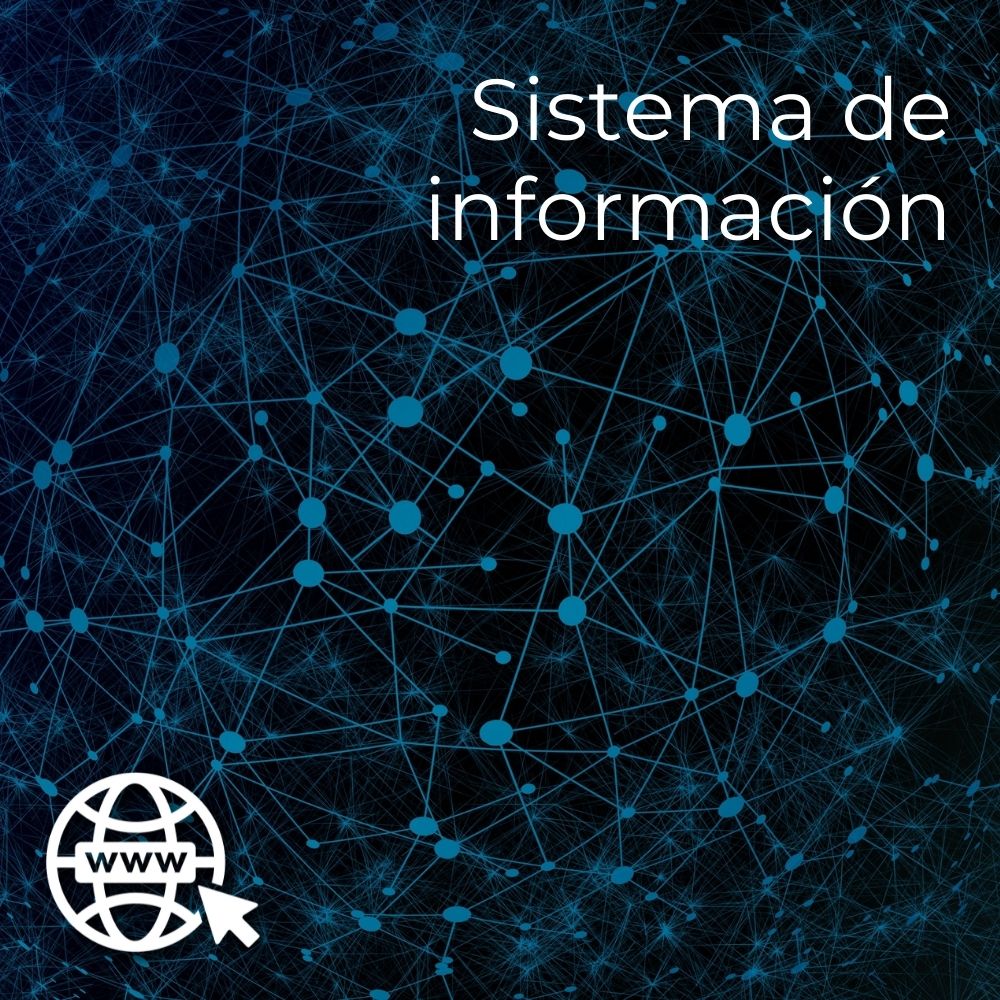 Sistema de información: características, elementos, ciclo de vida, tipos | UDGVirtual Formación ...